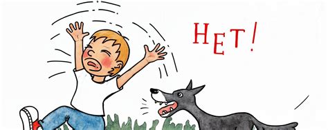 Нападения бродячих собак на людей и животных В сообществе запрещено