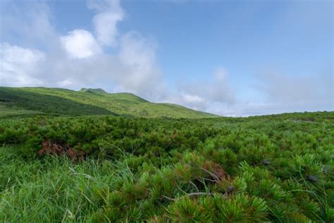 マツダがアンモニア発電の專焼へ しぜんのめぐみ