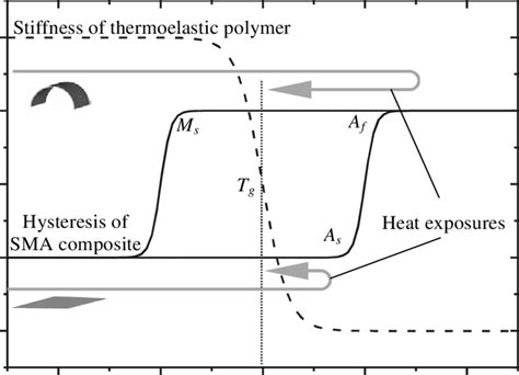 Youngs Modulus Vs Temperature Curve Of A Thermoelastic Polymer And Download Scientific
