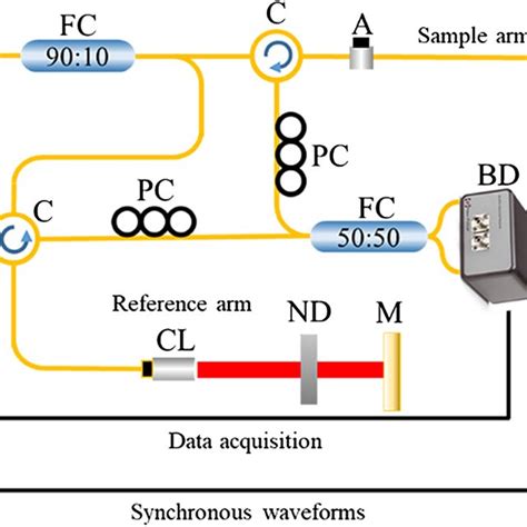 Schematic Of The Ss Oct Handheld Probe System Light Delivering Along Download Scientific