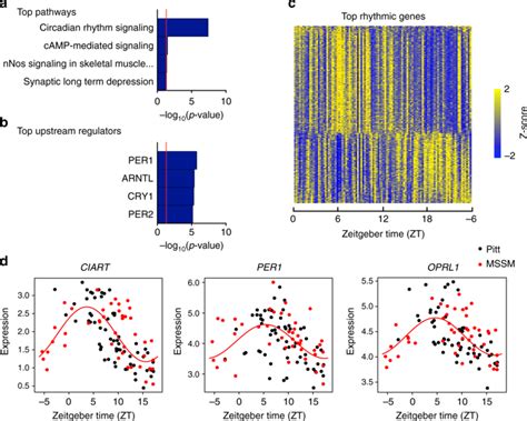 精神分裂症前额叶皮层基因表达的昼夜节律。 Nature Communications X Mol