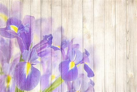 No Meeting April 14 Ut Spring Recess Ut Science Forum