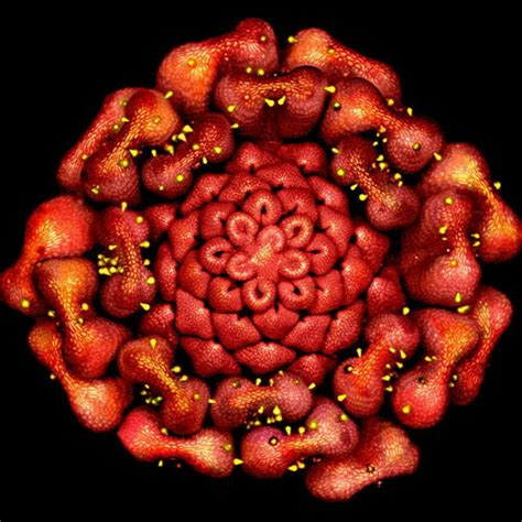 Stream Jonas Sch Music Listen To Songs Albums Playlists For Free On Soundcloud