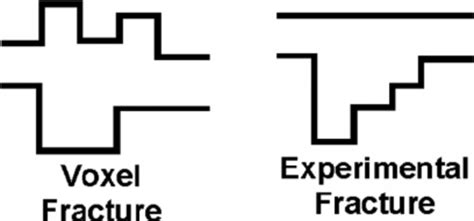 Illustration Of Conversion Of The Ct Voxel Data To The Experimental