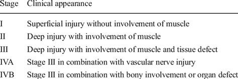 Lackmann Classification Of Head And Neck Bite Wounds Download Table