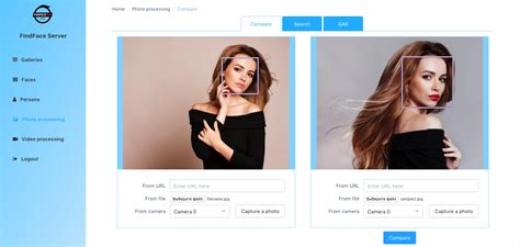 Findface Web User Interface — Findface Enterprise Server Sdk 25