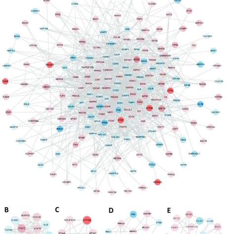 Ppi Network And Module Analysis A Ppi Network Of 211 Common Genes