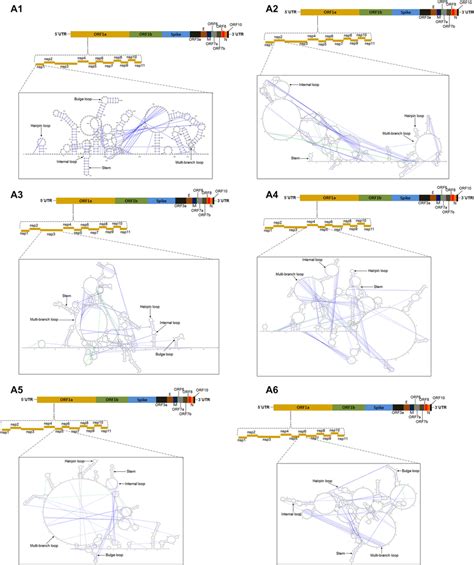 Rna Secondary Structure Model Predicted By Deep Learning Dl Of All