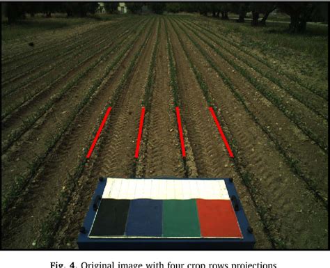 Figure 4 From Crop Rows And Weeds Detection In Maize Fields Applying A