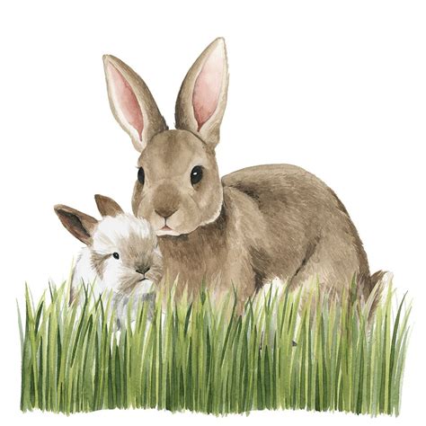 Woodland Babes Iii Poster Print Grace Popp Posterazzi