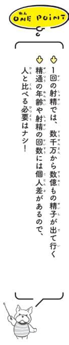 勃つってなにが起きているの？性器の図解と射精の仕組み【12歳までに知っておきたい男の子のためのおうちでできる性教育】