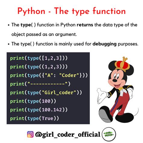 Girl Coder Impressive Type Function In Python Girl Coder Official Access Several