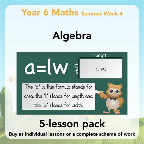 Ks2 Algebra Year 6 Lesson Packs And Information Planbee