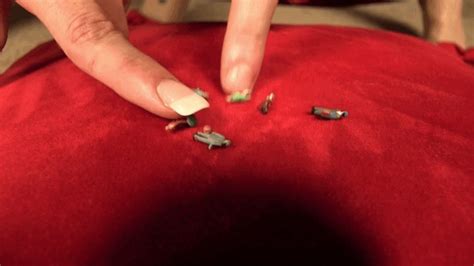 Ginary Sarah S Ant Men Mp Ginarys Kinky Adventures Clips Sale