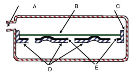 Amp 1 Midterm Diagrams Flashcards Quizlet Amp 1 Midterm Diagrams Flashcards Quizlet