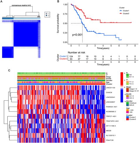 Consensus Clustering Of Prognosis Related Lncrnas A Consensus Download Scientific Diagram