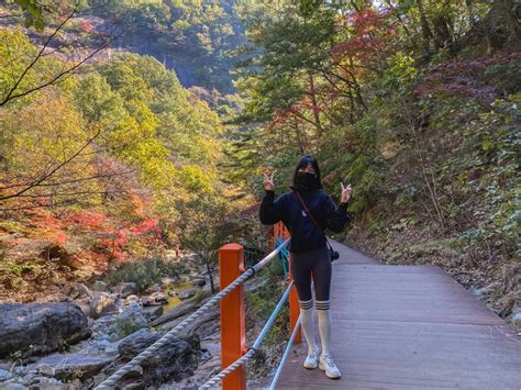포천 가을여행지 명성산 억새축제 등산코스시간 주차 개화현황 네이버 블로그