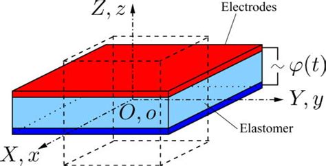 Dynamic Analysis Of Dielectric Elastomer Actuators Applied Physics Letters Aip Publishing