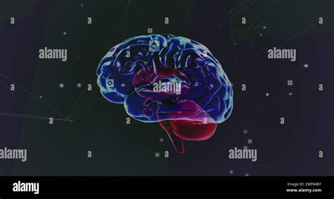 Image Of Human Brain Spinning And Data Processing Over Computer Screens