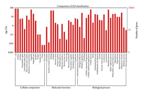 Gene Ontology Classification Of The S Japonica Transcriptome Gene Download Scientific Diagram