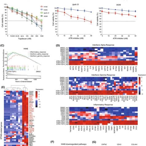 Hierarchical Clustering Analysis Identifies Three Sting‐related Sclc Download Scientific