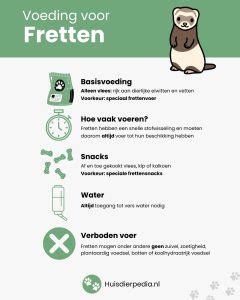 Fret Voeding En Dieet Huisdierpedia
