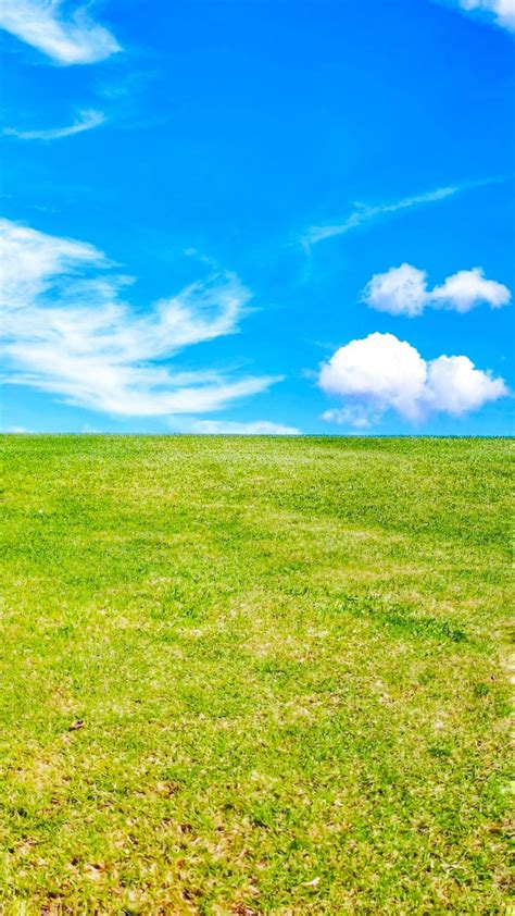 Free Picture A Flat Green Field With Short Grass Under A Blue Sky With
