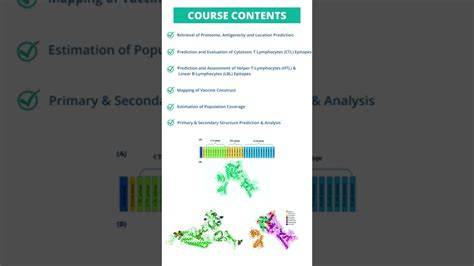 Hands On Guide On Computational Vaccinology And Chimeric Vaccines Course Youtube