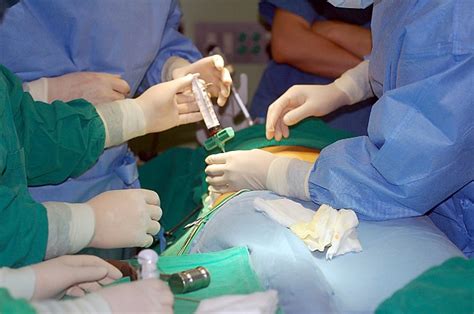 손상된 무릎연골 줄기세포 로 살린다 관절전문 부민병원 네이버 블로그