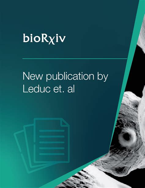 One Tip A Revolutionary Proteomics Workflow With Aurora Elite