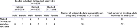 Temporal Distribution Of Observed Banded Breeding Adults Of Masked