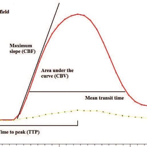 A An Arterial Input Function Aif Arrow On The Axial Ct Scan Is Download Scientific Diagram