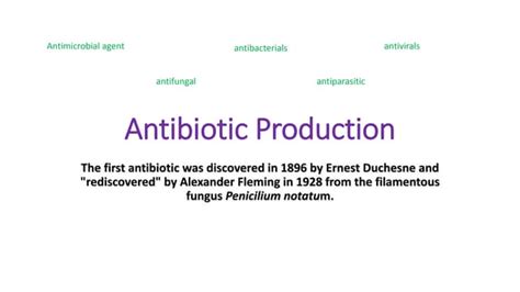 Penicillin Production Fermentation Pdf