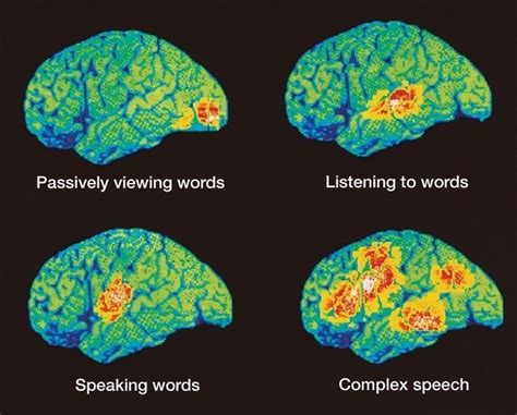 reinforcement learning brain and psychology neuroscience basics 2