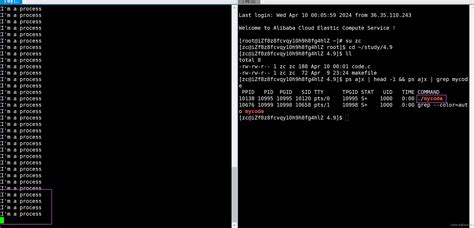 Linux：进程概念（二查看进程、父进程与子进程、进程状态详解） 腾讯云开发者社区 腾讯云