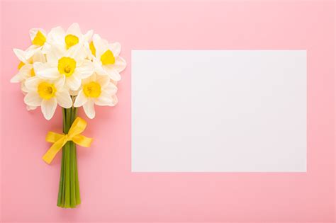 노란 리본이 달린 신선한 흰색 수선화 꽃 꽃다발과 밝은 분홍색 테이블 배경에 빈 인사말 카드 파스텔 색상 근접 촬영 텍스트 인용문 또는 속담을 위한 빈 공간 하향식 보기 꽃