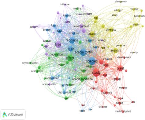 Term Clustering Map Based On The First Reference Data Of Systematic