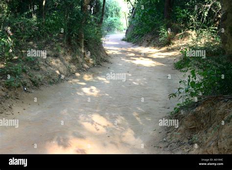 Rsc0490 A Path Leading To The Nature Forest Gandhi Nagar Gujarat India