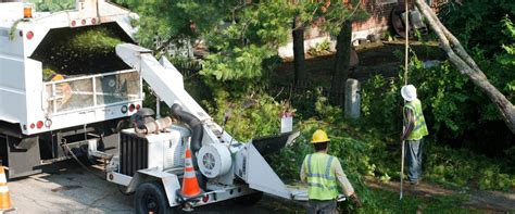 1 Tree Service In Kansas City Tree Trimming Removal