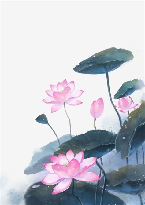 수묵 연꽃 연잎 잉크 수채화 일러스트 식물 중국 스타일 유물 만화 손으로 그린 Png 일러스트 및 Psd 이미지 무료 다운로드 Pngtree Pflanzen