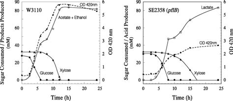 Anaerobic Growth And Fermentation Profile Of E Coli Strain W3110 And A Download Scientific