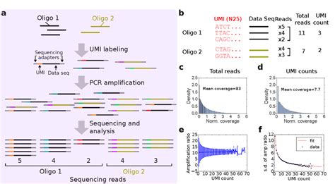 Estimating Oligonucleotide Bias Using Unique Molecule Identifiers Download Scientific Diagram