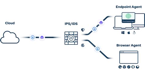 Breach And Attack Simulation Vs Red Teaming
