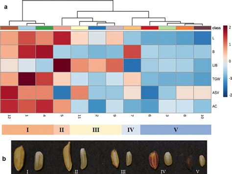 A Heat Map And Hierarchical Clustering Analysis Generated From Download Scientific Diagram