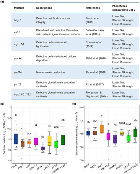 New Phytologist 拟南芥根系防御屏障支撑与根系分泌物 根际功能细菌 Pseudomonas Simiae Wcs417 间的有益互作 知乎