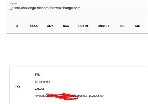 Lightsail Txt Records Not Propagating Aws Repost
