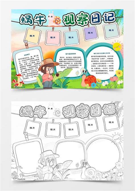 寒假植物观察手抄报龙虎榜 孙丽文 孙丽文的博客 观察手抄报图片