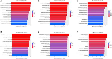 GO AnalysisBiological Processes The Bars Plots Show The Top 10 Download Scientific Diagram