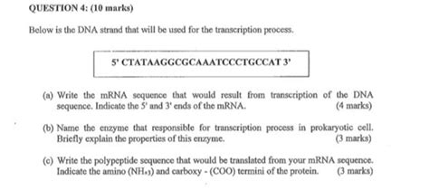 [solved] question 4 10 marks below is the dna strand th