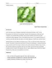 Lab2 Cell Structure Lab Activity Pdf Name I D Major SCBI192 SCBE102 Lab 2 Cell And Cell